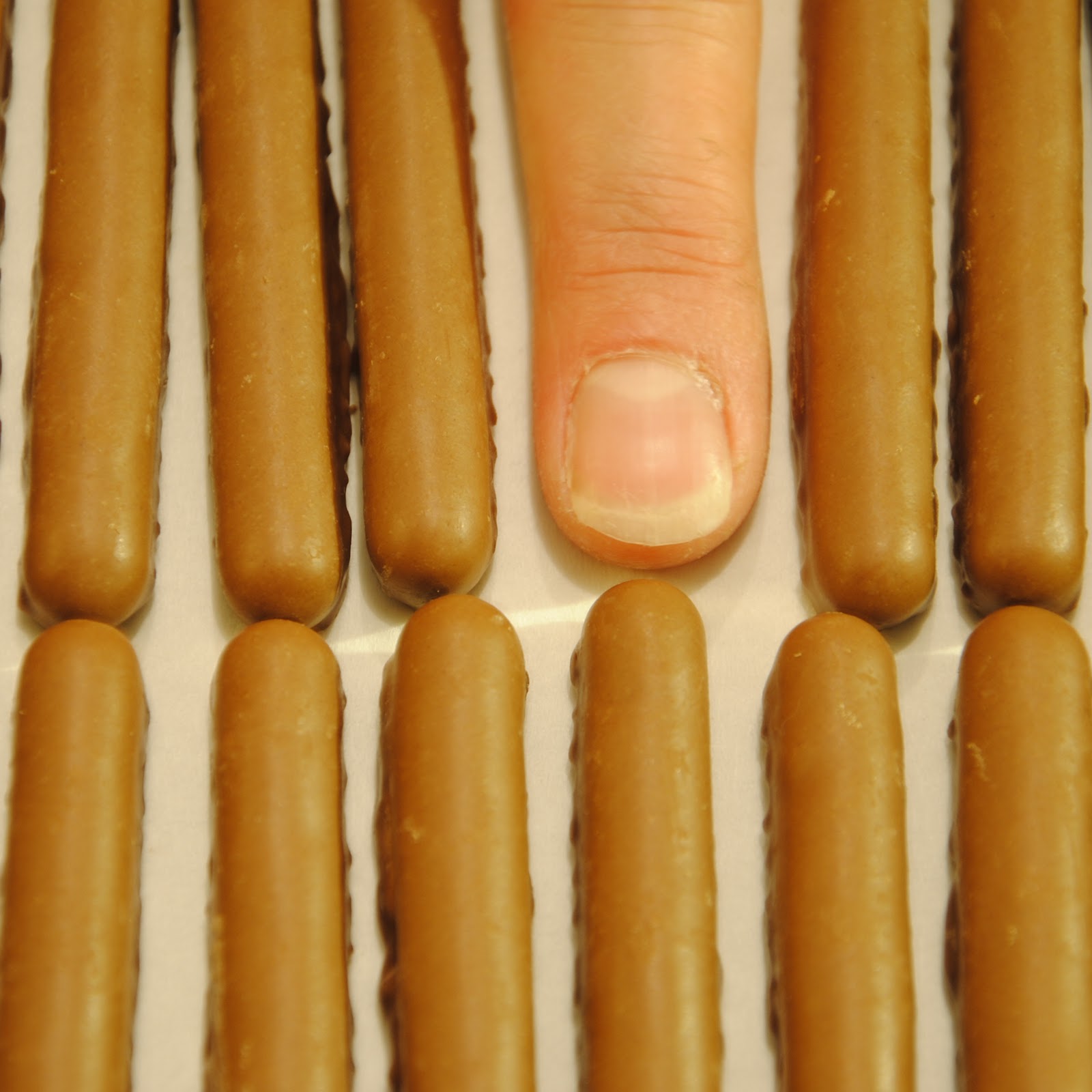 NJ Photography: September 2010